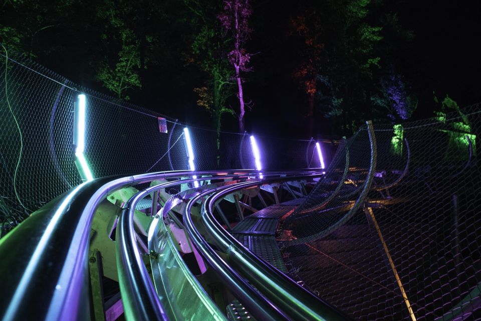 Pigeon Forge: Rocky Top Mountain Coaster Ride - Who Will Love This Ride?