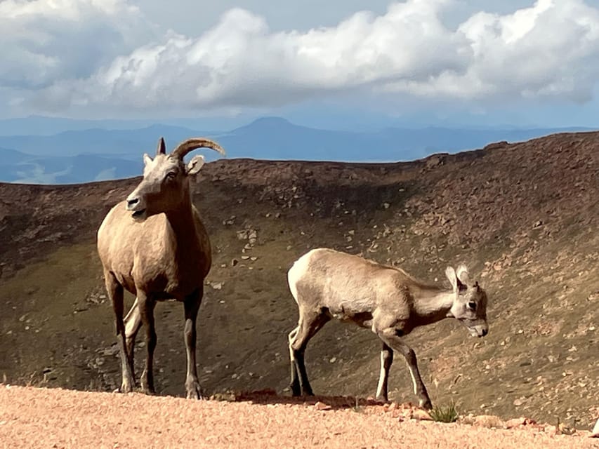 Pikes Peak Tour - FAQ