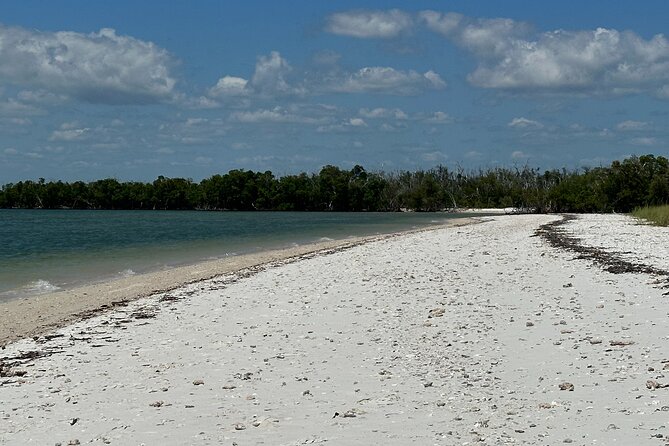 Pirate Adventure in Florida - Final Thoughts: Is This Tour for You?