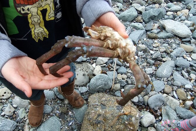Pirate Sea Cave Tide Pool Walk at Dana Point - FAQs