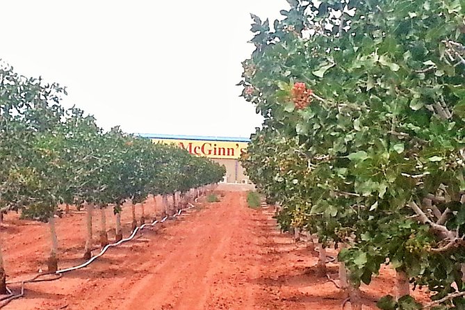 PistachioLand Farm Tour - The Bottom Line: Is It Worth It?