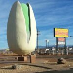 PistachioLand Farm Tour - FAQ
