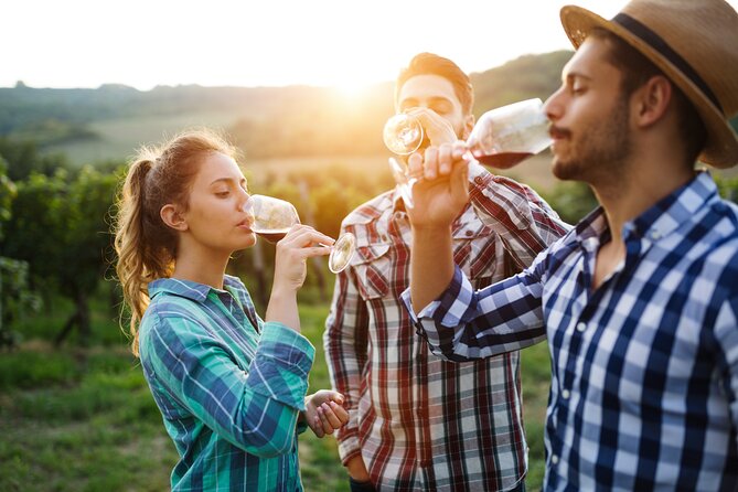Placer County Wine Tasting Pass - What is the Placer County Wine Tasting Pass?