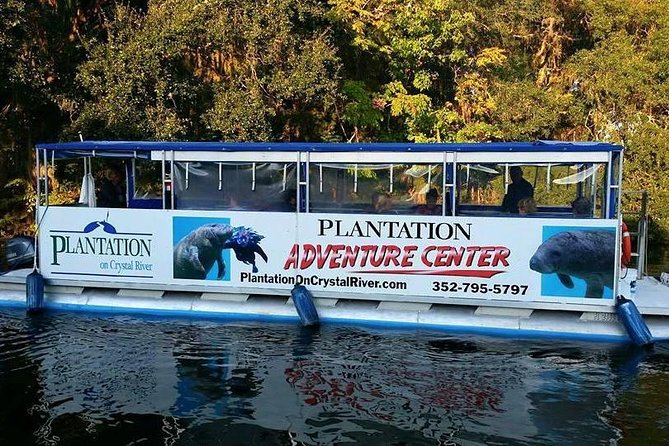 Plantation's Kings Bay Sunset Cruise - Why This Cruise Is a Great Value for Nature and Relaxation Lovers