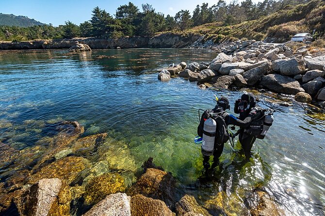 Point Lobos - A Private Charming Ocean Tour - An In-Depth Look at the Experience