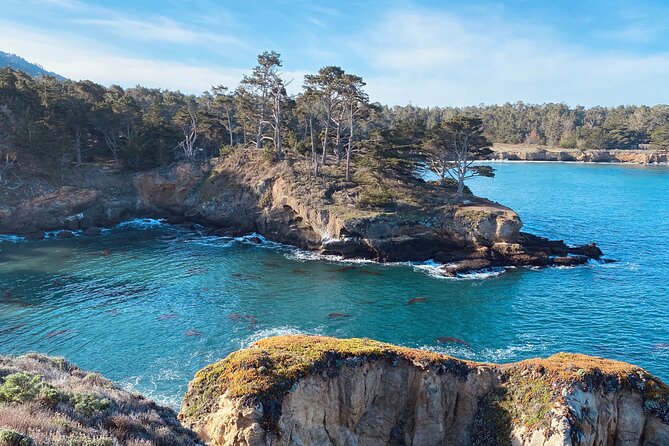 Point Lobos - A Private Charming Ocean Tour - Is This Tour Worth It?