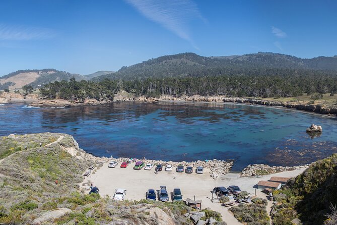 Point Lobos - A Private Charming Ocean Tour - Practical Tips for Visitors