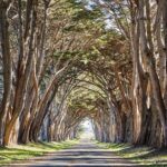 Point Reyes National Seashore Self Guided Driving Audio Tour - Who Should Consider this Tour?