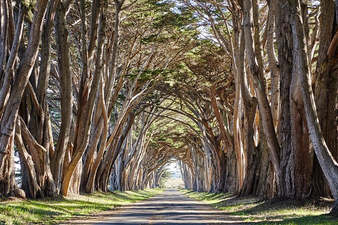 Point Reyes National Seashore Self Guided Driving Audio Tour - Who Should Consider this Tour?