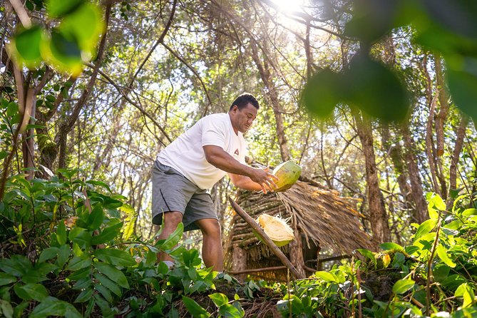 Polynesian Cultural ATV Tour - Discovering the Itinerary in Detail