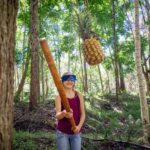 Polynesian Cultural ATV Tour - What to Expect from the Experience