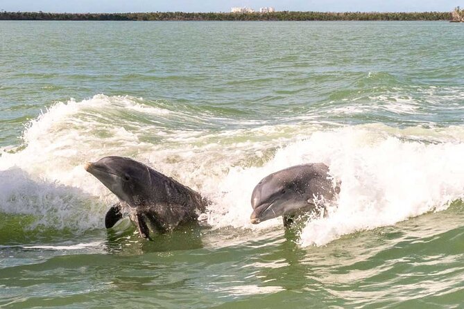 Pontoon Boat Rental Crystal River - Who Is This Experience Best Suited For?