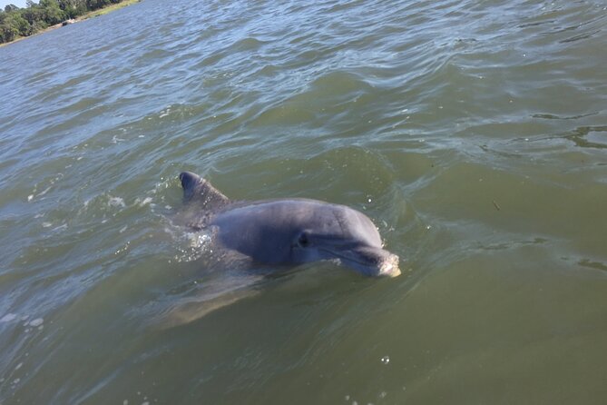 Pontoon Boat Rental in Hilton Head Island - The Sum Up