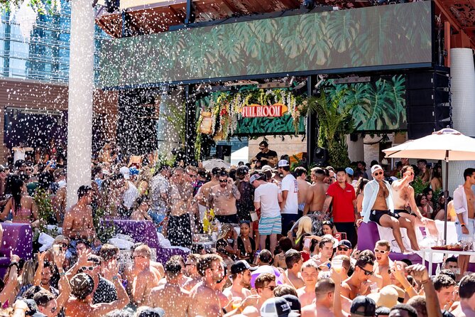 Pool Party VIP Experience with Private VIP Host in Las Vegas - The Party Atmosphere and Entertainment
