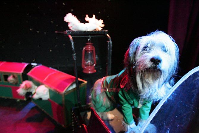 Popovich Comedy Pet Theater at Planet Hollywood Resort and Casino - An In-Depth Look at the Experience