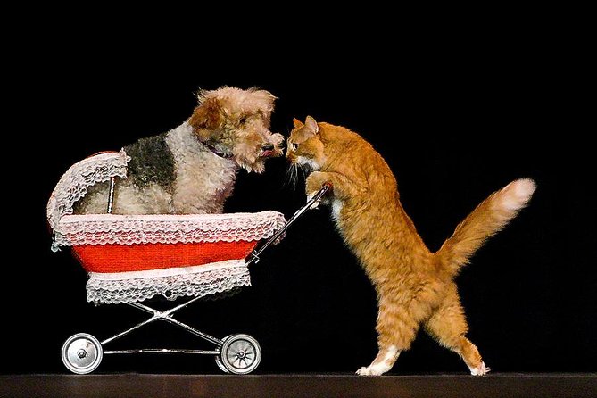 Popovich Comedy Pet Theater at Planet Hollywood Resort and Casino - FAQ