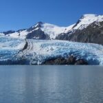 Portage Glacier Cruise and Wildlife Explorer Tour - Scenic Drive Along Turnagain Arm