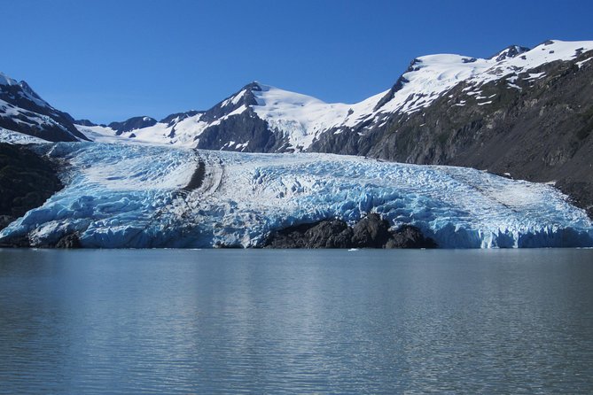 Portage Glacier Cruise and Wildlife Explorer Tour - Scenic Drive Along Turnagain Arm