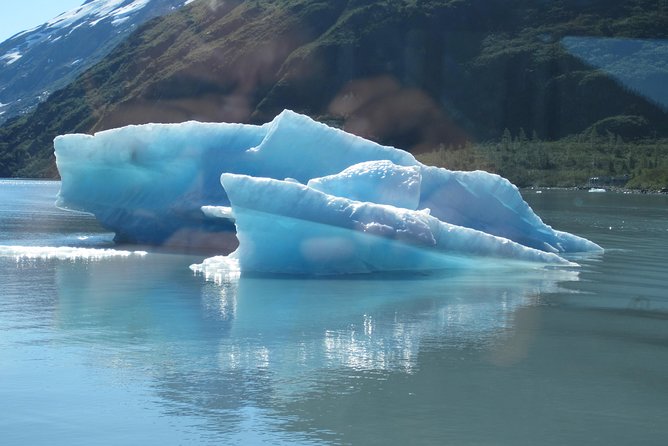 Portage Glacier Cruise and Wildlife Explorer Tour - Portage Glacier Cruise