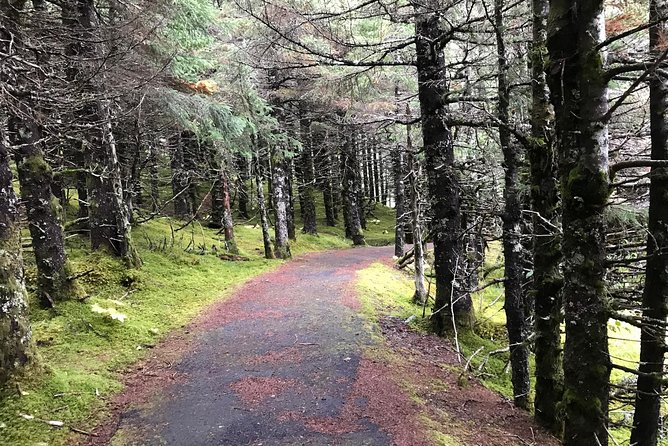 Portage Glacier Cruise and Wildlife Explorer Tour - Scenic Stops Along Seward Highway