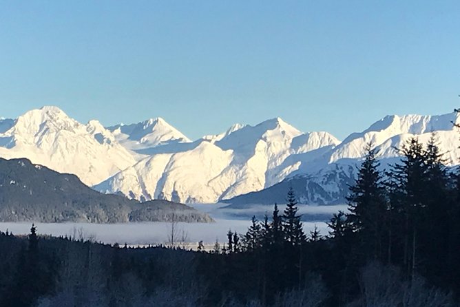 Portage Glacier Cruise and Wildlife Explorer Tour - In The Sum Up