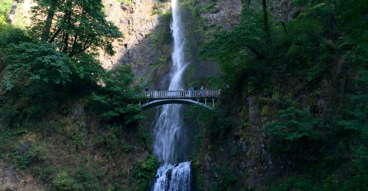 Portland: Columbia River Gorge 3-Hour Small Group Tour - The Experience from a Review Perspective