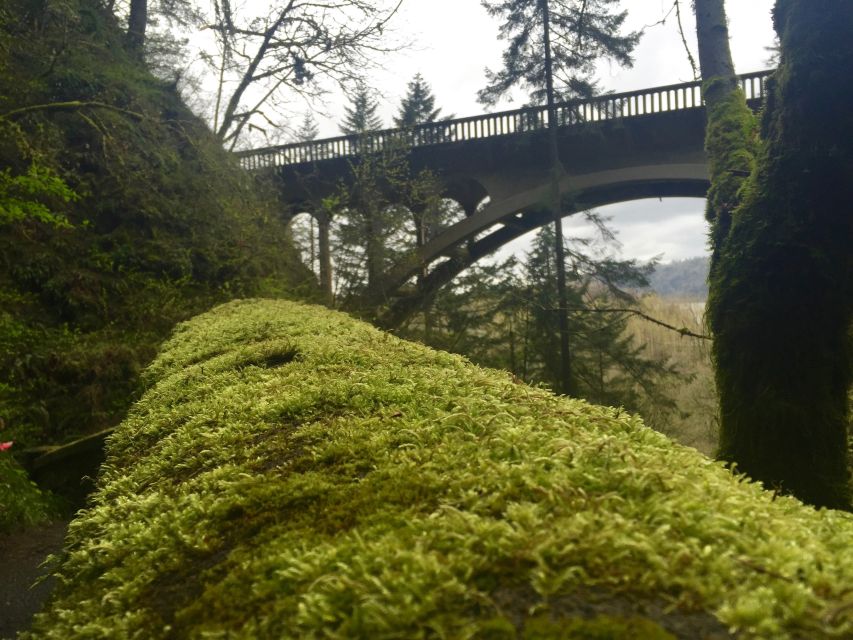 Portland: Columbia River Gorge 3-Hour Small Group Tour - Who Would Love This Tour?