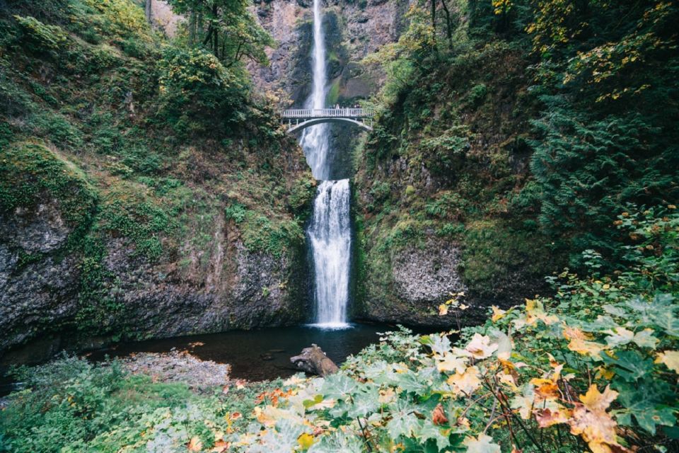 Portland: Columbia River Gorge Waterfalls Afternoon Tour - A Deep Dive into the Experience