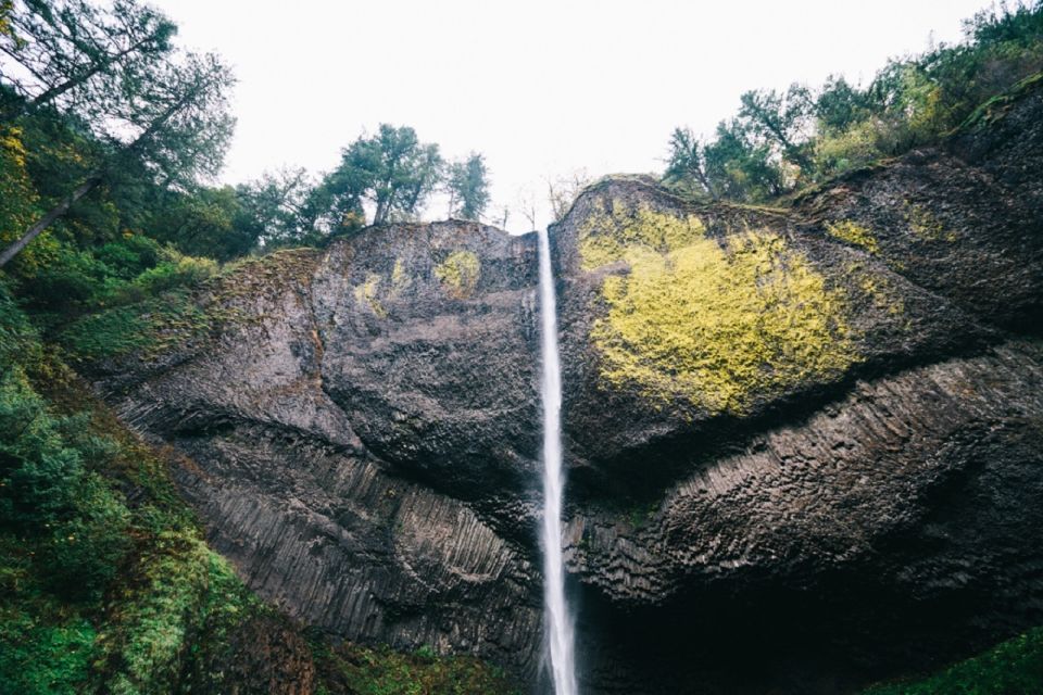 Portland: Columbia River Gorge Waterfalls Afternoon Tour - Who Is This Tour Best For?