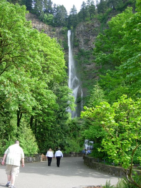 Portland: Columbia River Gorge Waterfalls Morning Tour - An In-Depth Look at the Tour