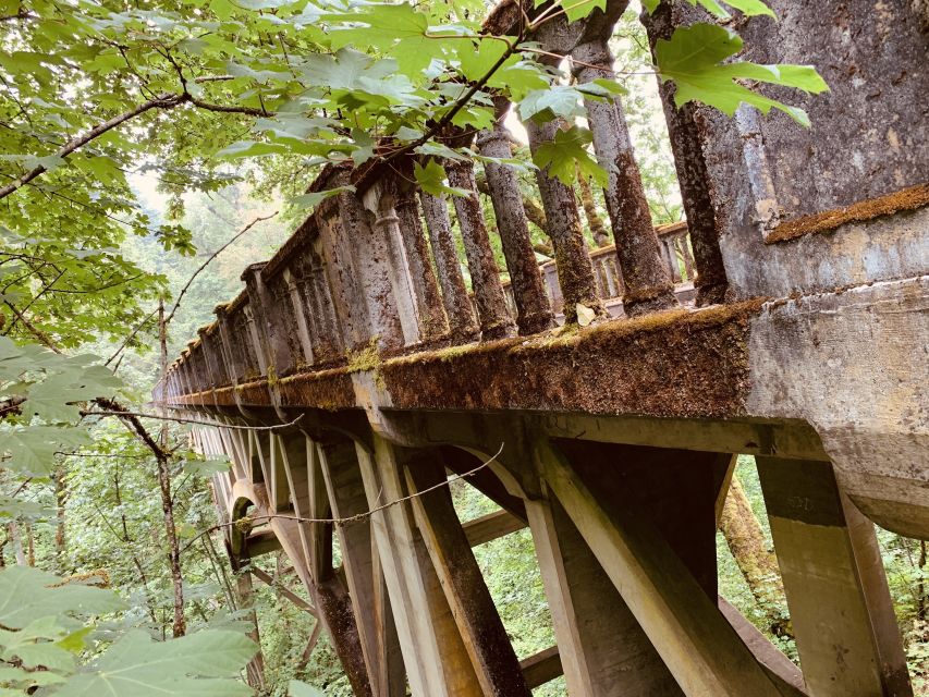Portland: Columbia River Gorge Waterfalls Morning Tour - FAQ