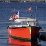 Portland: Maine Lighthouses Sightseeing Cruise with Drinks - Who Should Consider This Tour?