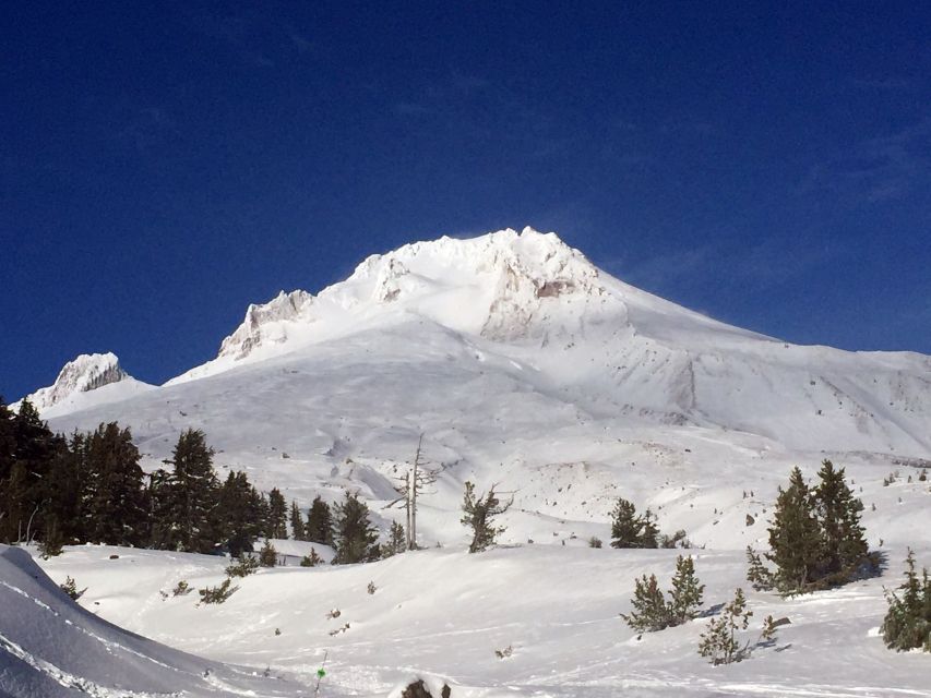 Portland: Mount Hood Wine and Waterfalls Full-Day Tour - Key Points