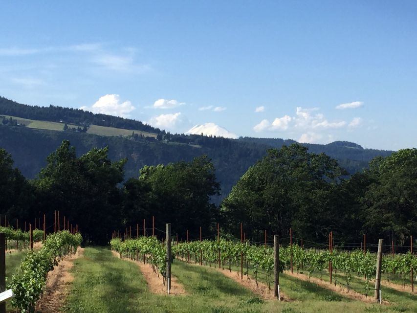 Portland: Mount Hood Wine and Waterfalls Full-Day Tour - The Sum Up: Who Is This Tour Perfect For?