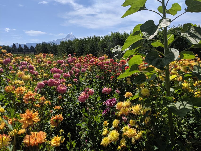 Portland: Mt. Hood Day Tour - Frequently Asked Questions