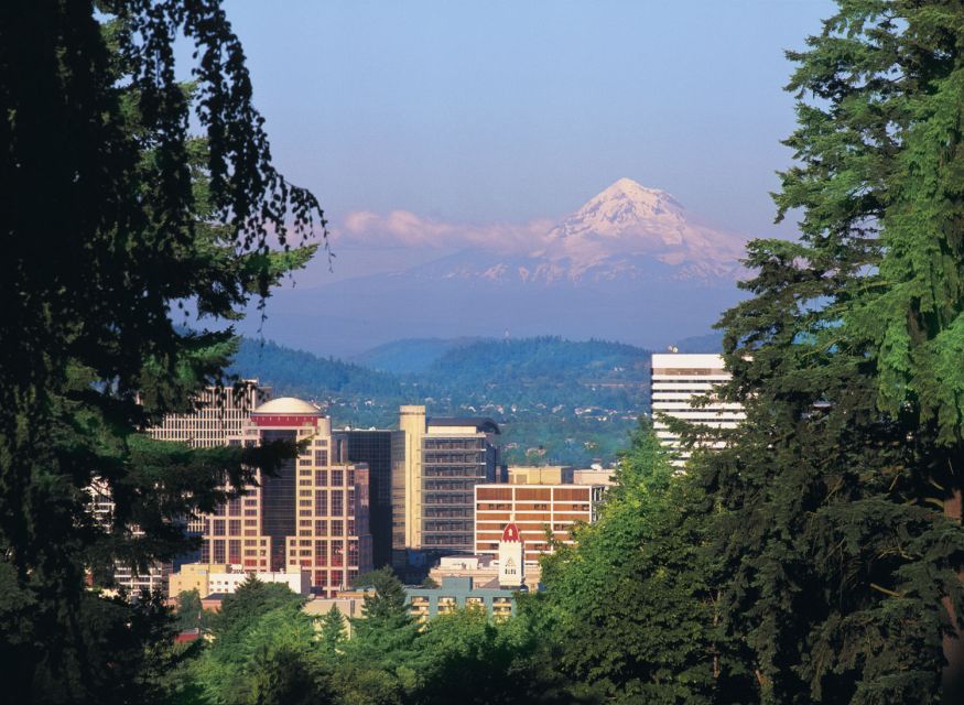 Portland, Oregon: Pink Trolley Hop-On Hop-Off Tour - Practical Tips for Your Trolley Tour
