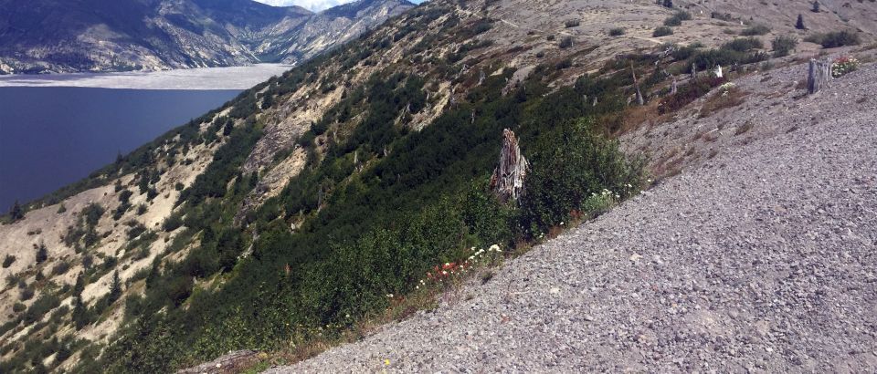 Portland: The Mt. St. Helens Adventure Tour - What’s Included and Practical Details