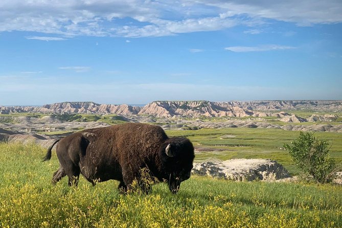 Premiere Private Badlands Day Tour - The Ultimate Full-Day Badlands Adventure: What to Expect