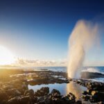 Premium Afternoon Scuba Charter for All Certified Diver Levels - Why This Tour Is Worth Considering