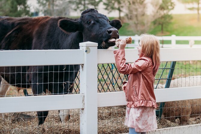 Premium Amish Country Tour including Amish Farm and House - The Value Proposition
