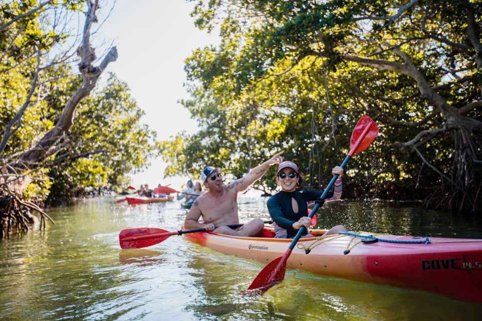 Premium Day Sail, Snorkel &, Kayak with Lunch - The Itinerary and What to Expect