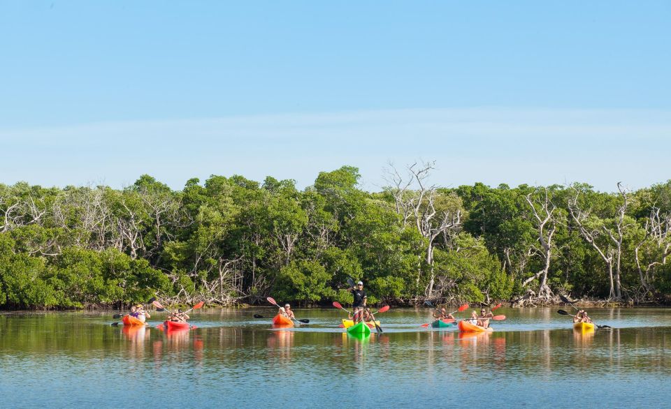 Premium Day Sail, Snorkel &, Kayak with Lunch - The Value and Price Considerations