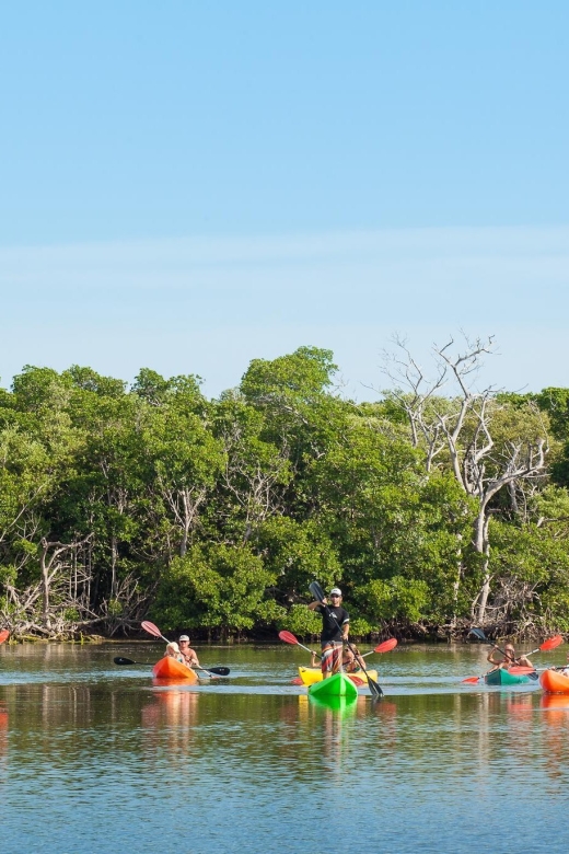 Premium Day Sail, Snorkel &, Kayak with Lunch - Final Thoughts