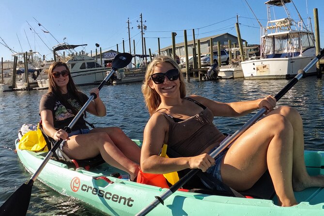 Premium Double Kayak Rental for 2 People in Crystal River Florida - The Experience: What Really Sets It Apart