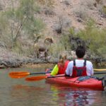 Premium Guided Emerald Cave Four Hour tour w/Lunch - Why This Tour Offers Great Value