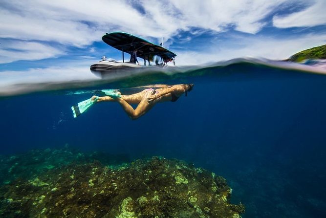 Premium Kona Coast Morning Snorkel - Key Points