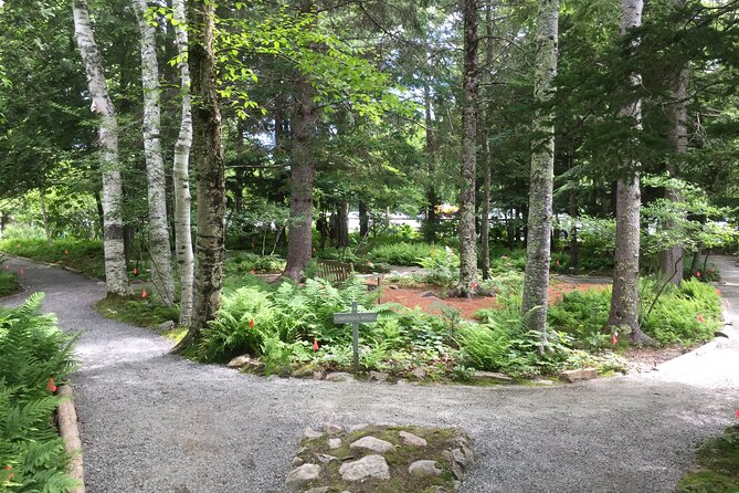 Premium Narrated Bus Tour of Bar Harbor and Acadia National Park (3.5 Hours) - Who Will Love This Tour?