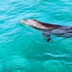 Premium Non-Private 3 Hour Crab Island and Eco Tour with Bathroom - The Experience: What Makes It Stand Out