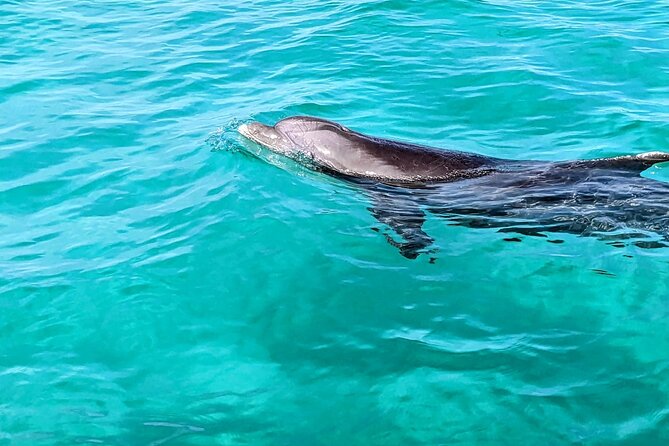 Premium Non-Private 3 Hour Crab Island and Eco Tour with Bathroom - The Experience: What Makes It Stand Out
