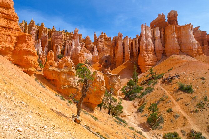Premium Small Group 5-Day National Park Tour from Las Vegas - Who Is This Tour Best For?
